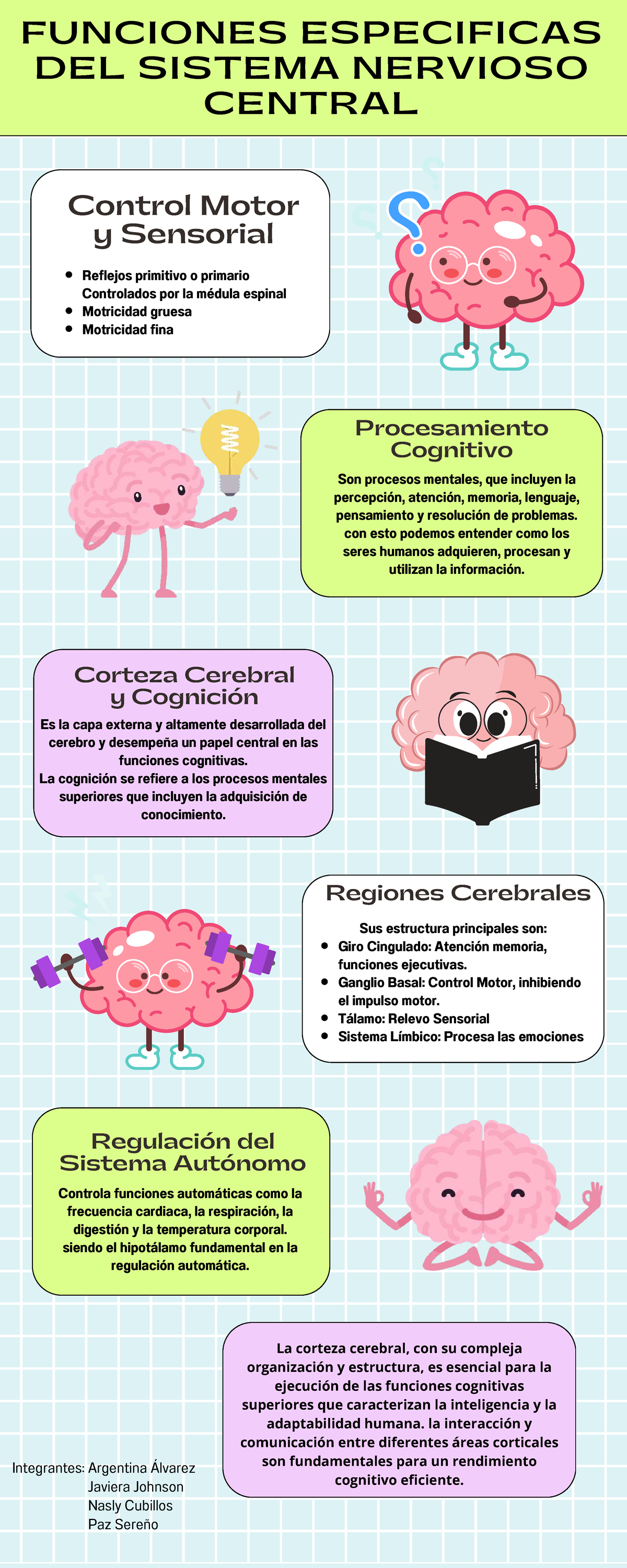 FUNCIONES DEL SISTEMA NERVIOSO CENTRAL: Control Motor y Cognición - Studocu