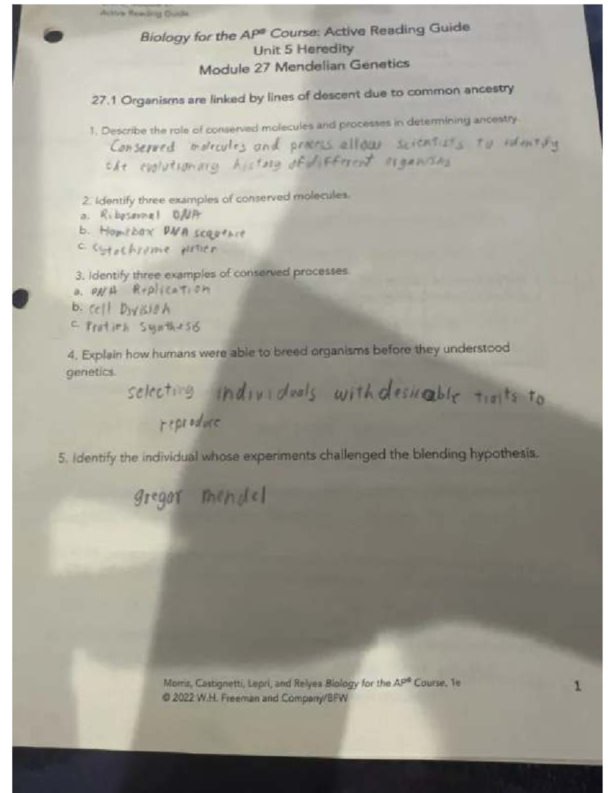 Active Reading Guide: AP Biology Unit 5, Module 27 - Mendelian Genetics ...