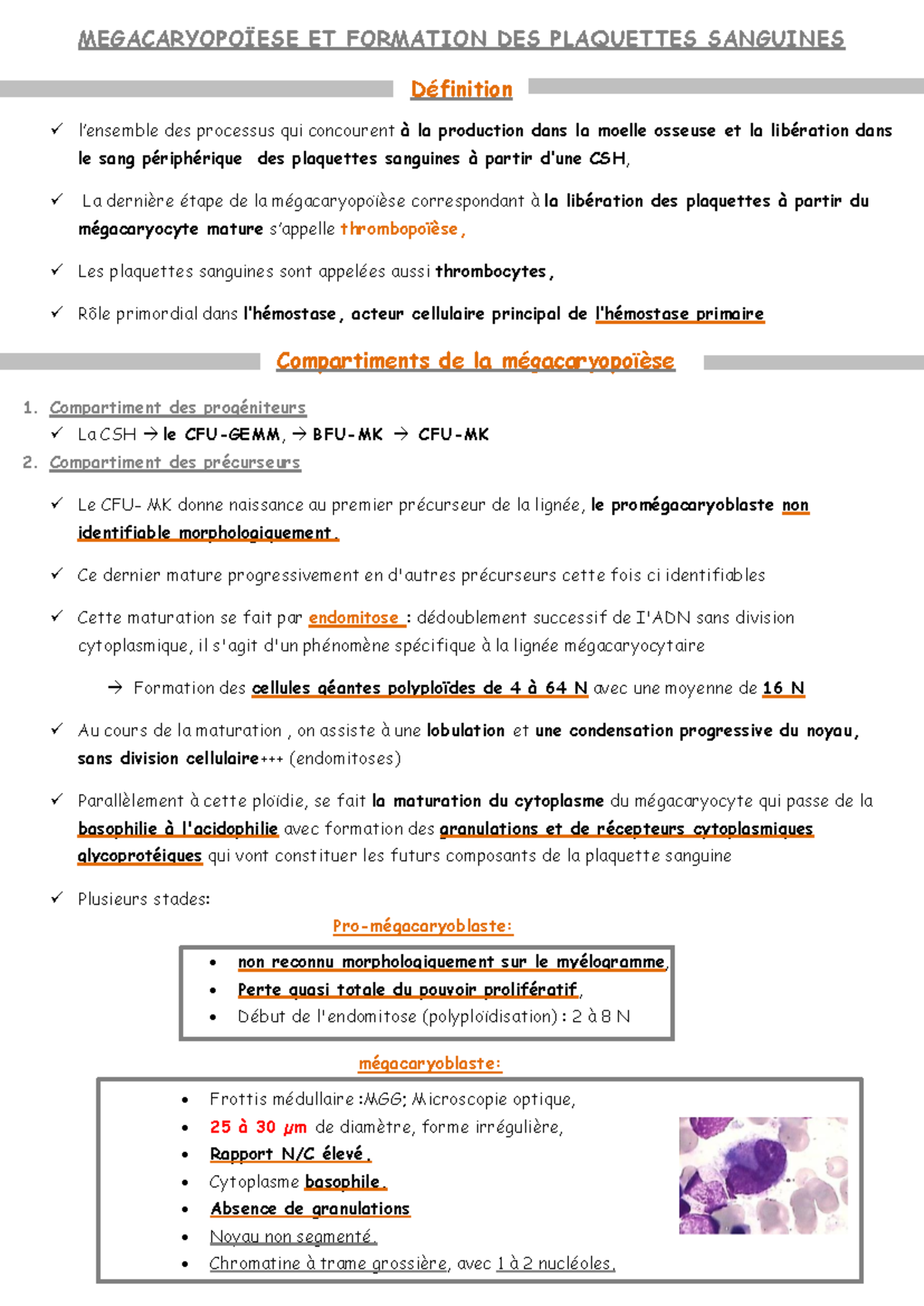 Mégacaryopoïèse et Thrombopoïèse : Formation des Plaquettes Sanguines ...