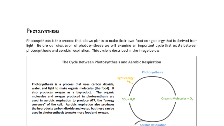Photosynthesis Process Overview: Light Reactions & Calvin Cycle (BIO ...