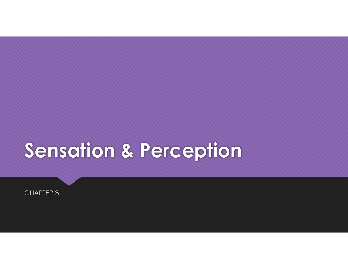 PSY0032 Chapter 3 - Sensation and Perception Notes - Studocu