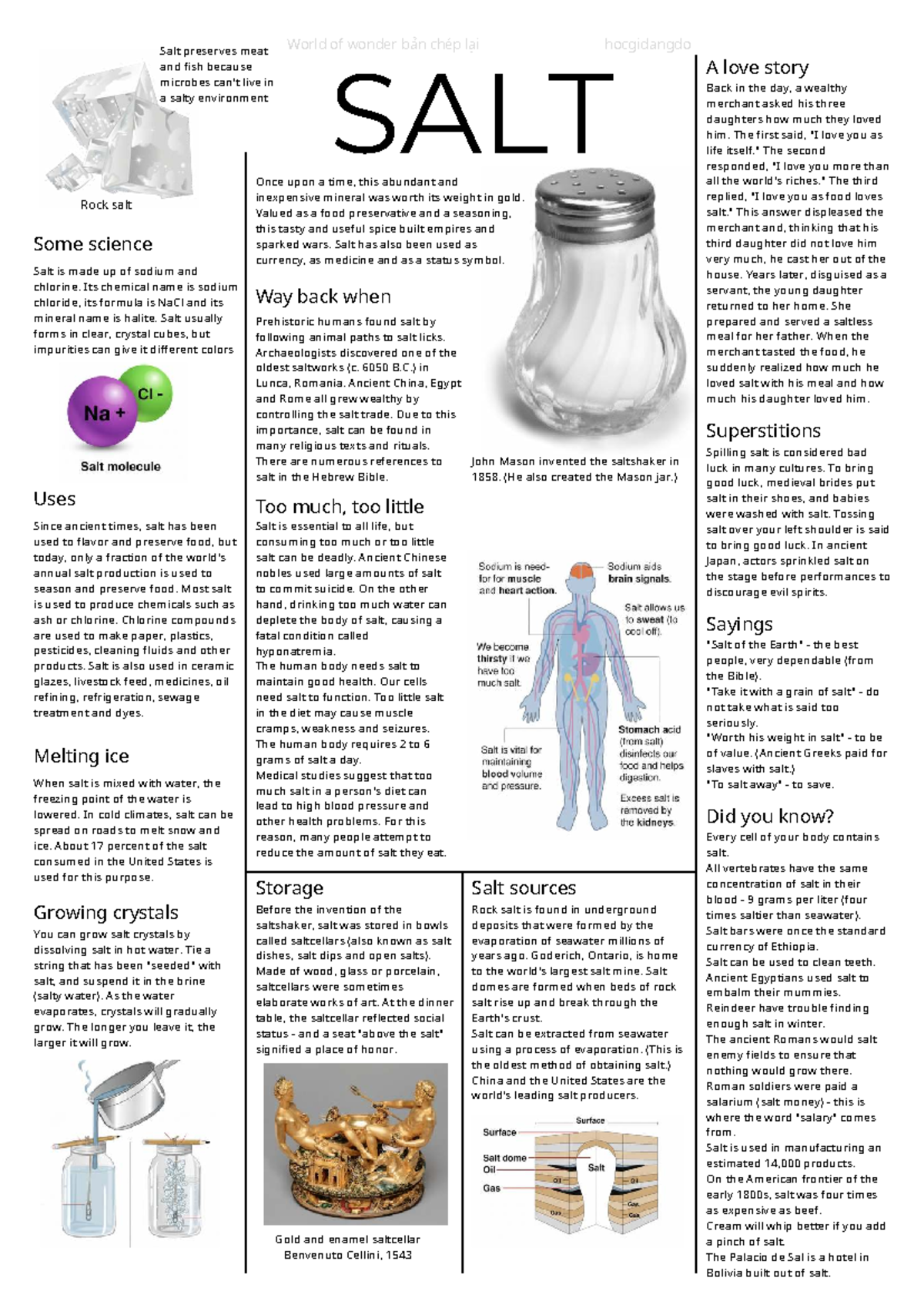 Salt: Its History, Uses, and Importance in Preservation (SCI 101) - Studocu
