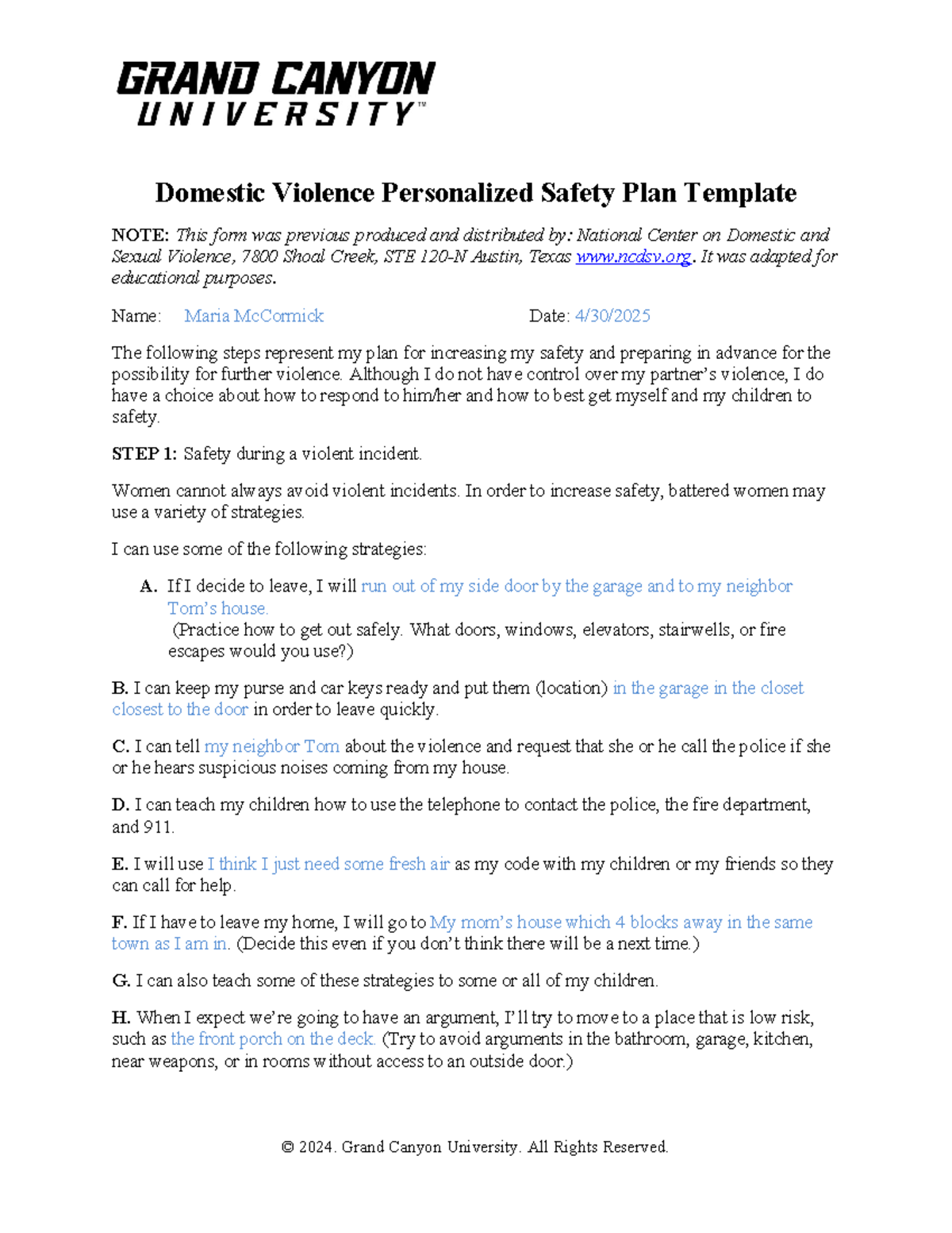 BHS 440 RS T3 Domestic Violence Safety Plan Template for Personal Use ...
