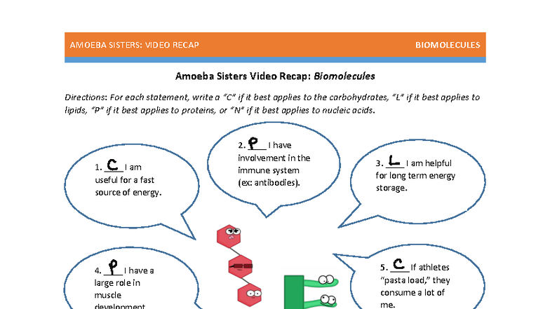 A&P: Amoeba Sisters Video Recap on Biomolecules - Studocu