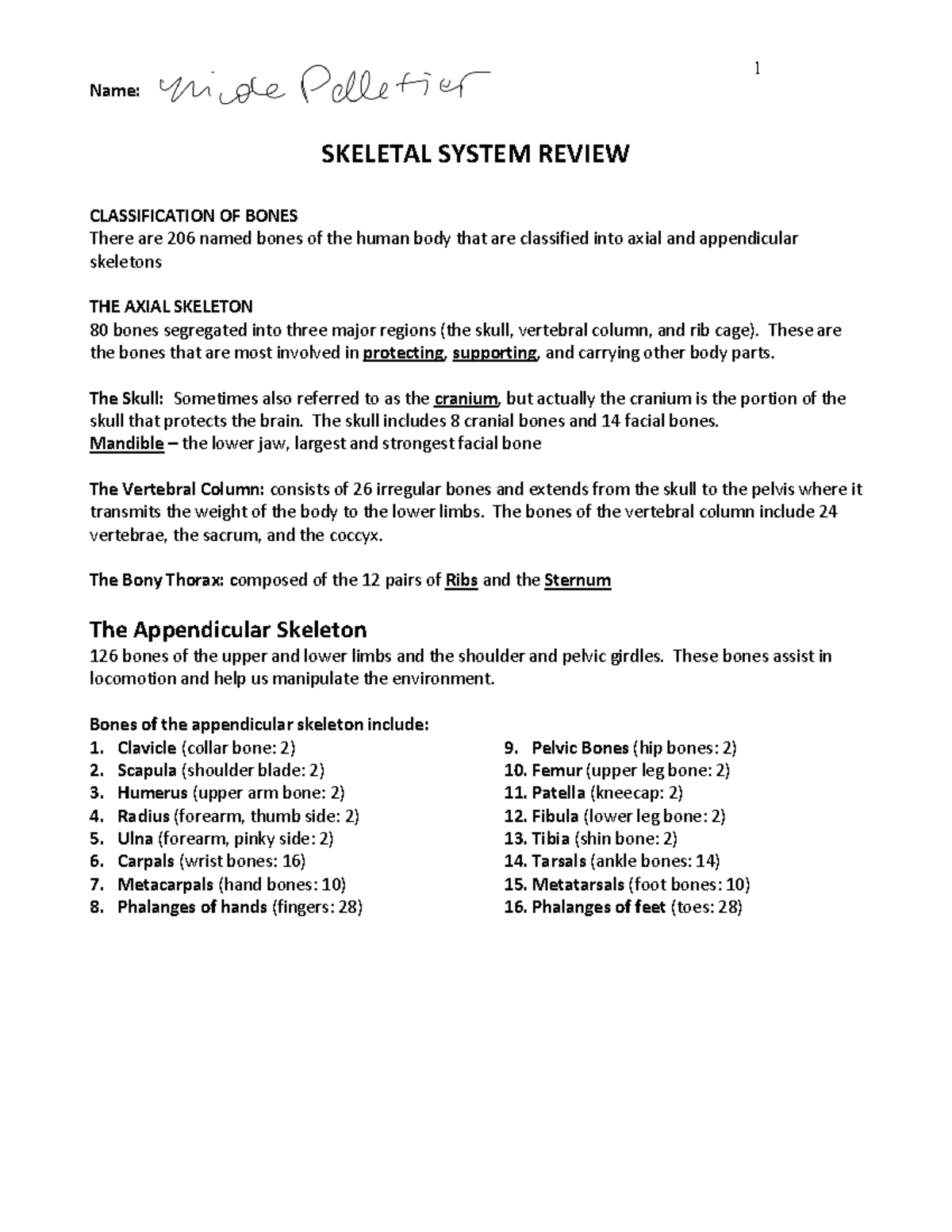 Skeletal System Review (BIO 202) - Key Concepts & Classifications - Studocu