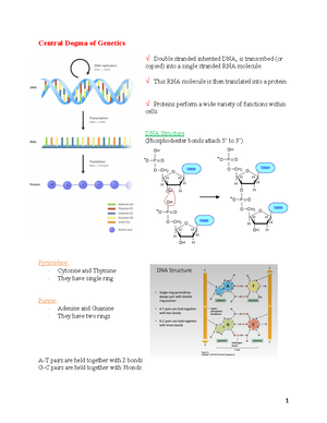 Draw To Learn 12 Central Dogma - Class 1 DTL:Central Dogma DNA . RNA ...