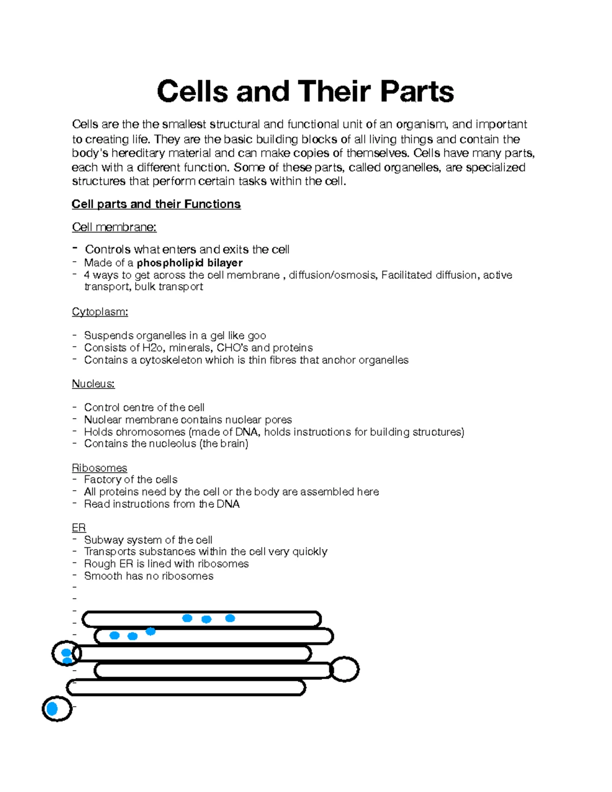 Cell division grade 10 - Cell Division Cells divide for special reasons ...