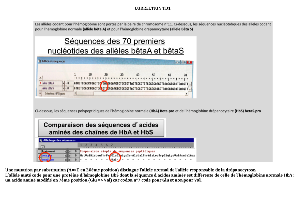 Correction TD1 - CORRECTION TD 1 Une mutation par substitution (A=>T en ...