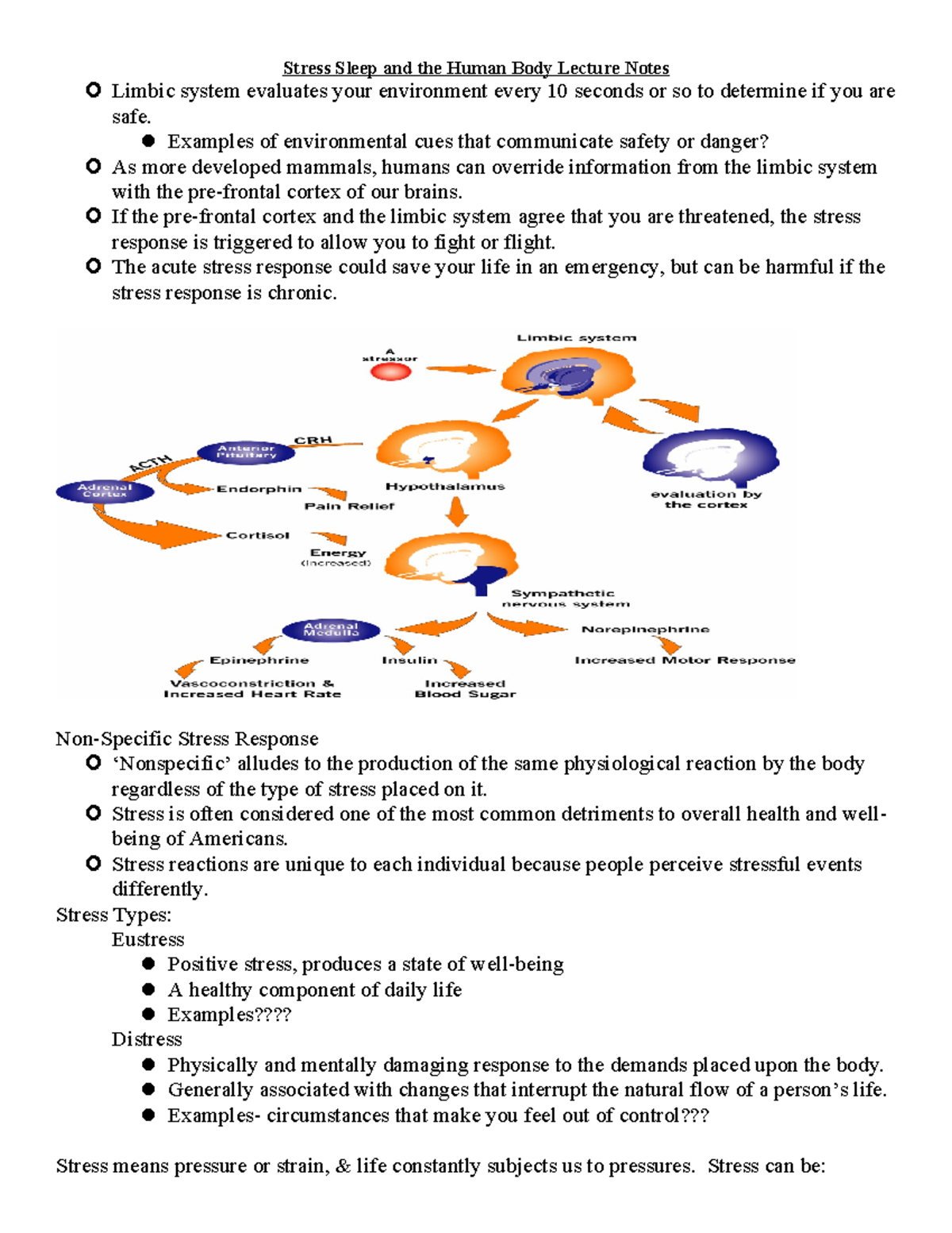 Stress, Sleep, and the Human Body: Lecture Notes (HLTH 101) - Studocu