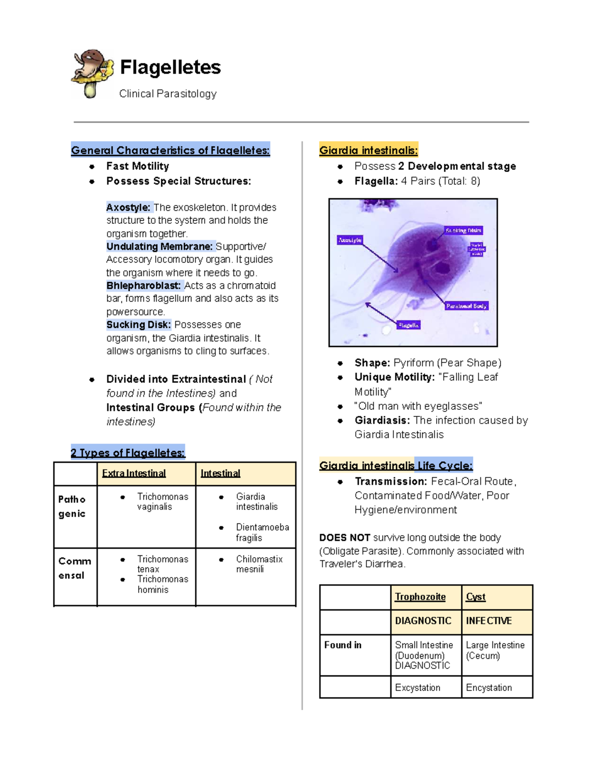 Flagellates Clinical Parasitology: Characteristics & Pathology Review ...