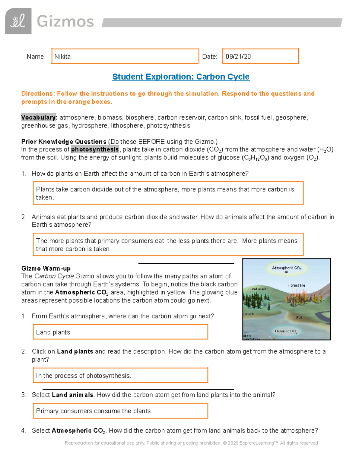 Exploring the Carbon Cycle: Student Simulation Activity Document - Studocu