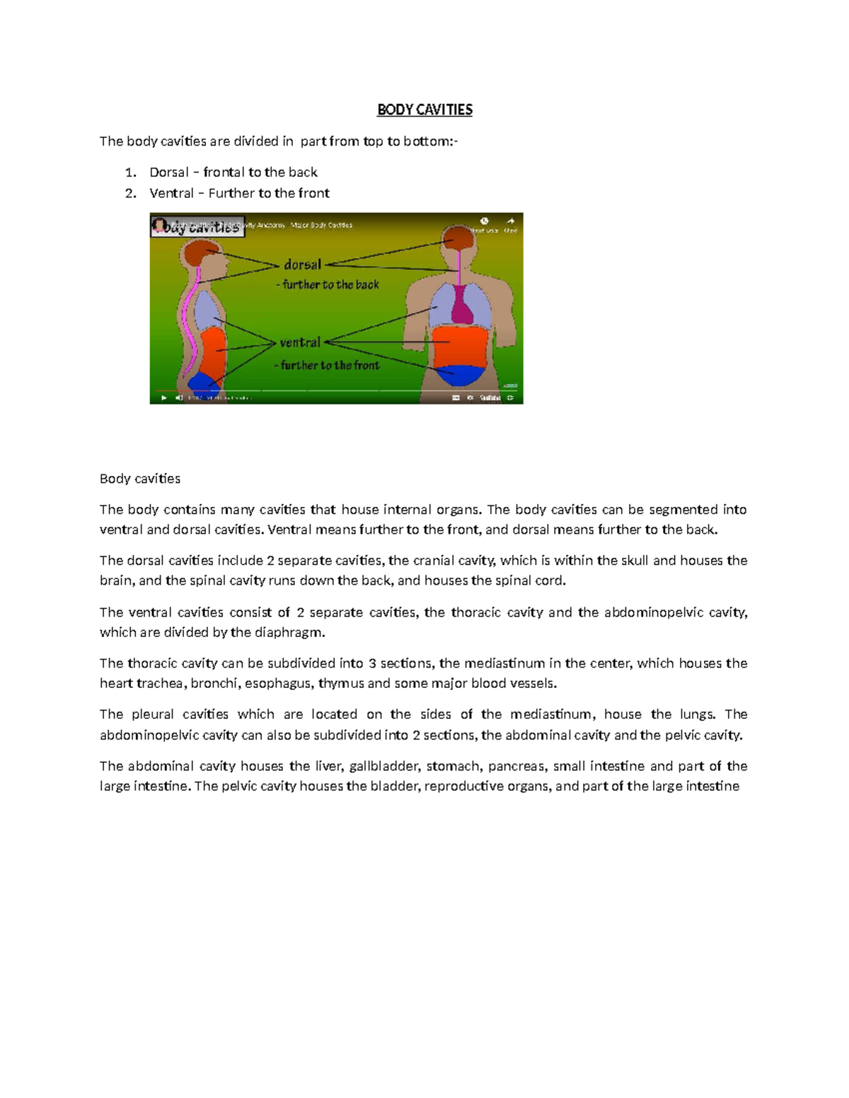 BODY CAVITIES: Detailed Overview of Dorsal & Ventral Regions - Studocu