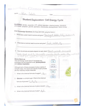 Biology - Grade: 10 - High School - Canada - Studocu