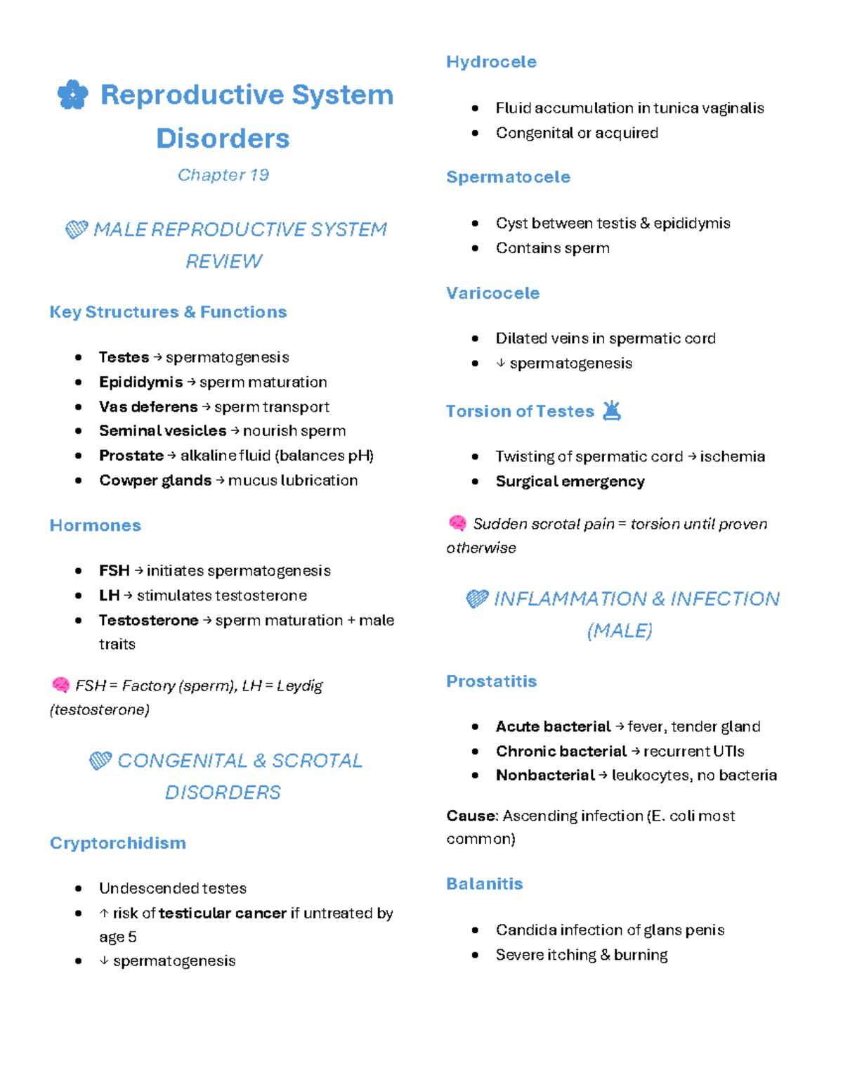 Chapter 19 - Male Reproductive System Disorders Study Guide - Studocu