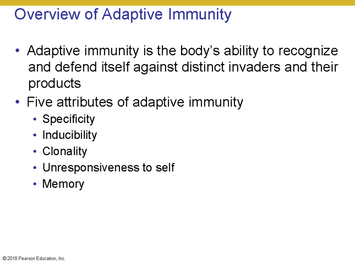 Adaptive Immunity Overview: Key Concepts and Mechanisms (BIOL 101 ...