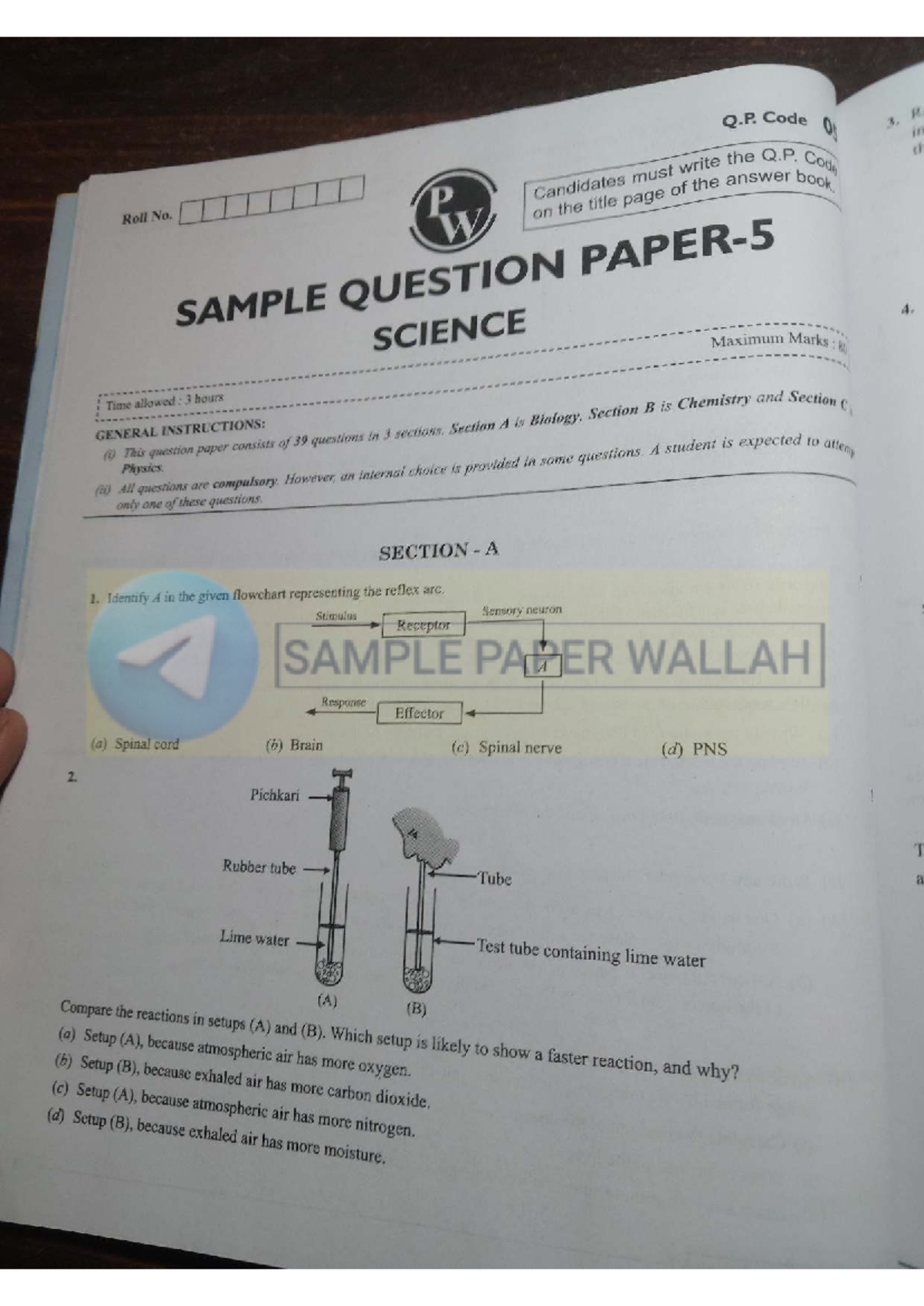 Sample Paper 5 - Science Exam Preparation for 100/100 - Studocu