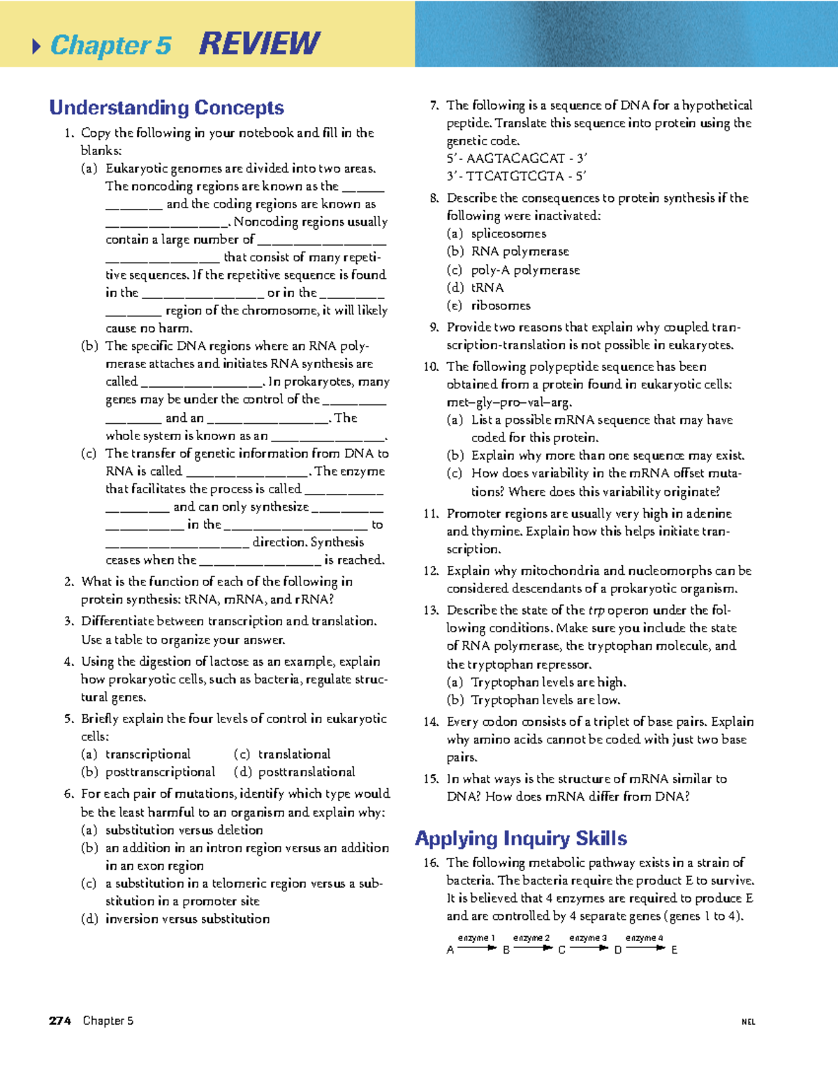 Unit 3 Review Questions: Understanding Genetic Concepts and Processes ...