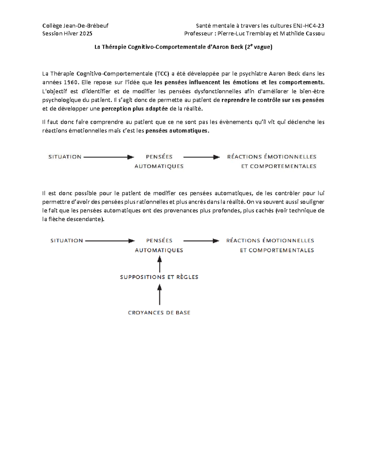 GAujfm-TCC 2e Vague 2025 - Session Hiver 2025 Professeur : Pierre-Luc ...