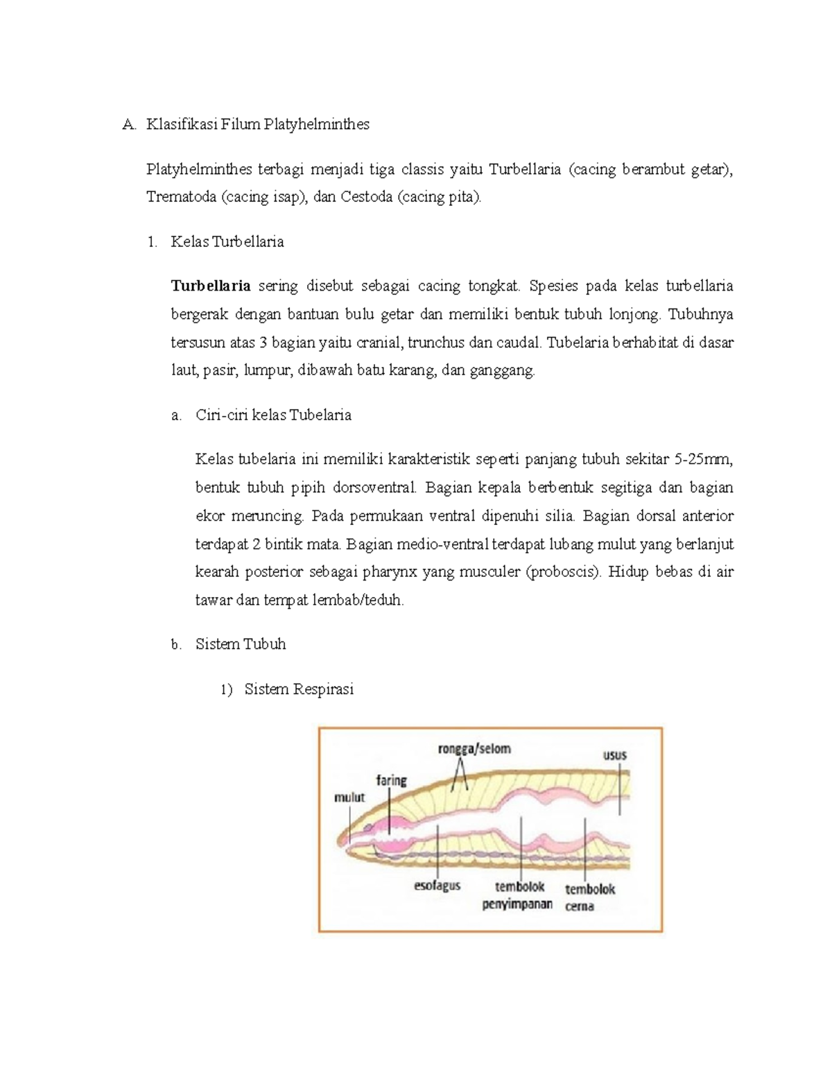 Klasifikasi Filum Platyhelminthes: Turbellaria, Trematoda, dan Cestoda ...