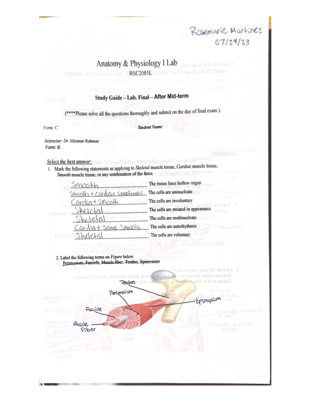 Lab Final Study Guide - BSC2085 - Studocu
