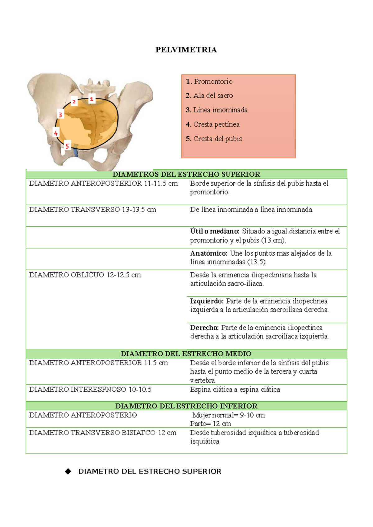 Pelvimetria y Diametros DE LA Cabeza Fetal - PELVIMETRIA DIAMETROS DEL ...