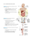 Biology - Grade: 10 - High School - Canada - Studocu