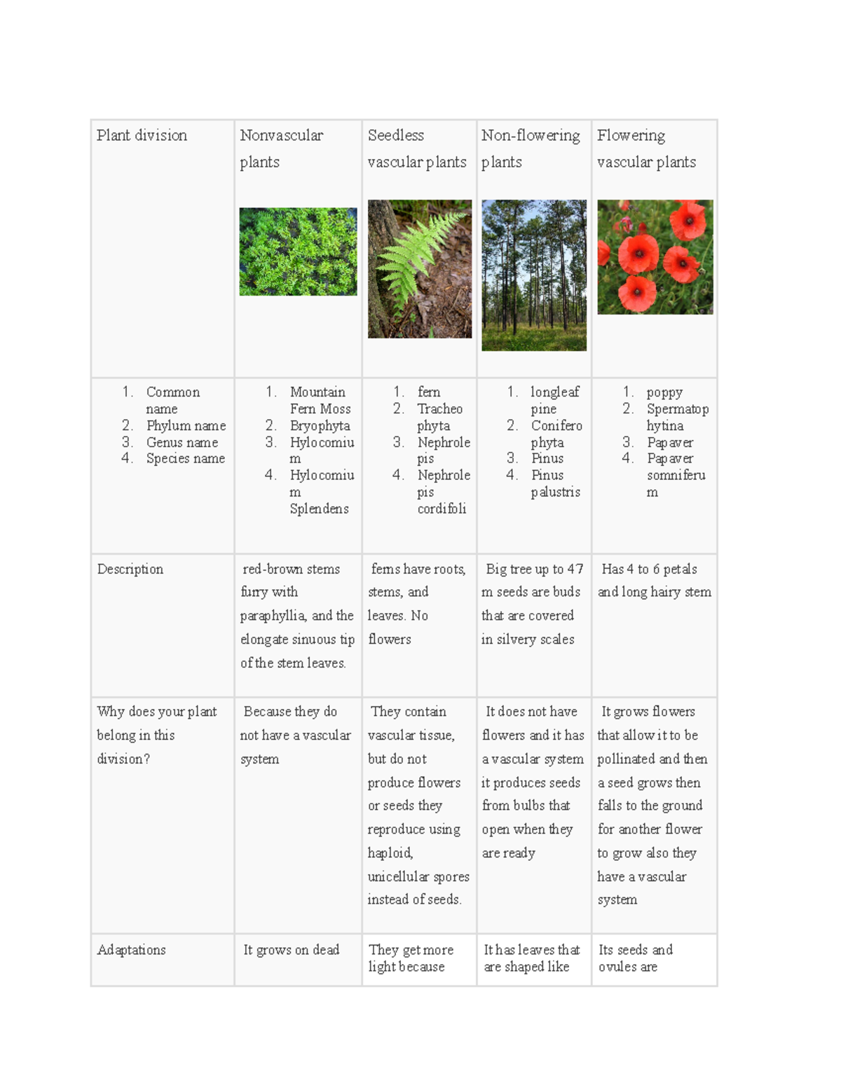 06.05 Plants Diagram - SCIENCE - Plant division Nonvascular plants ...