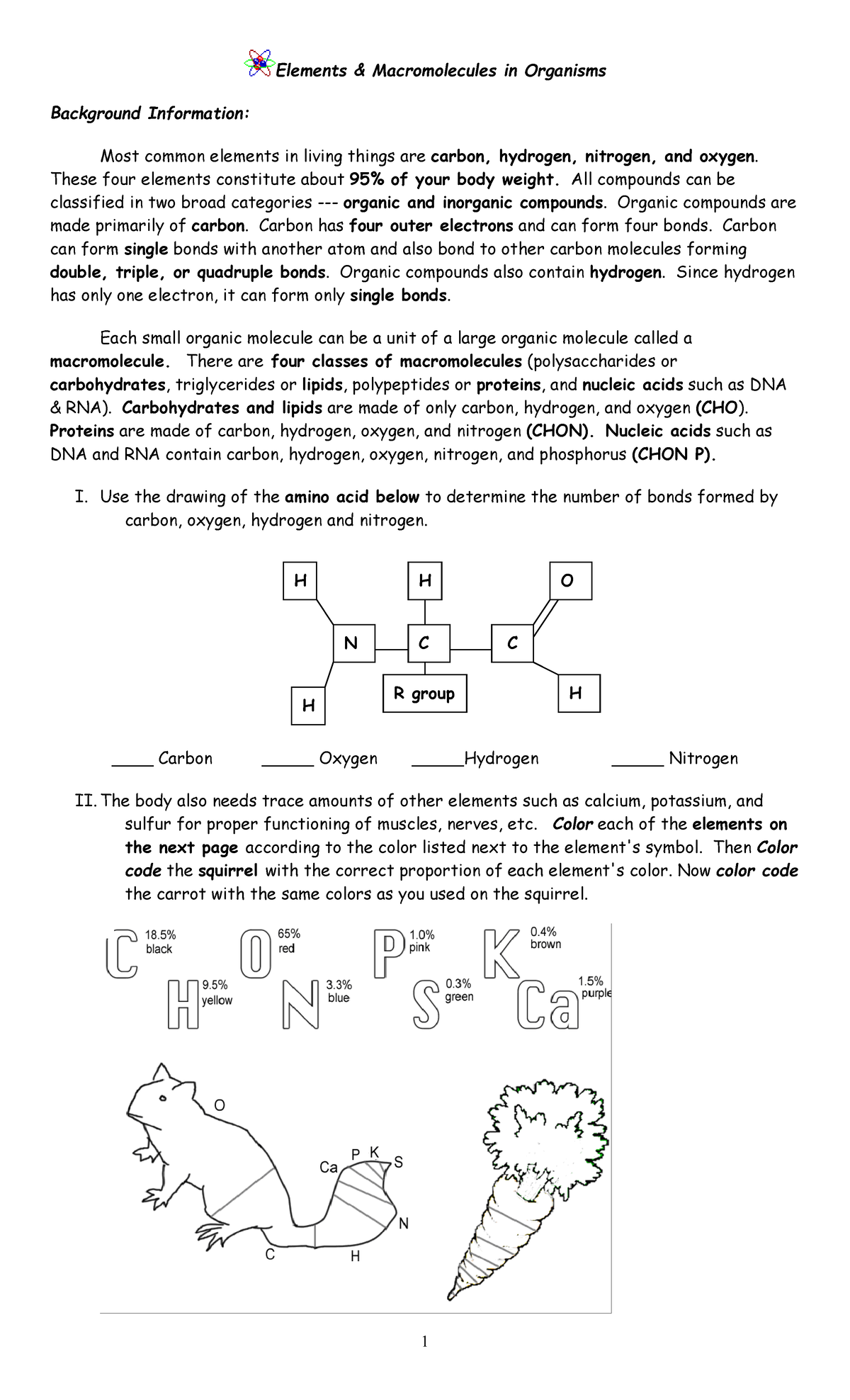 Elements+Found+in+Living+Things - Elements & Macromolecules in ...
