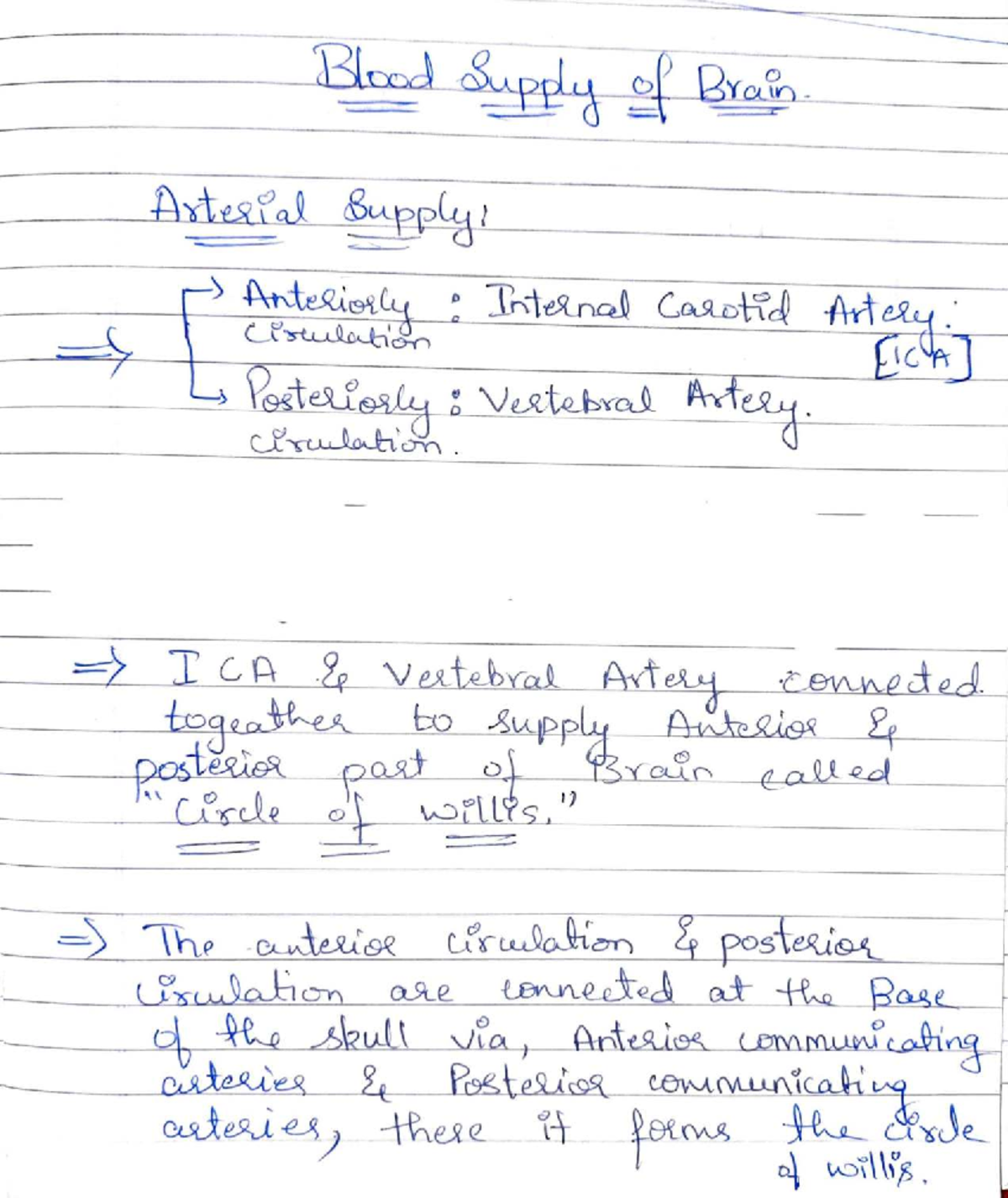 Blood Supply of the Brain (Anatomy) - A Comprehensive Overview - Studocu