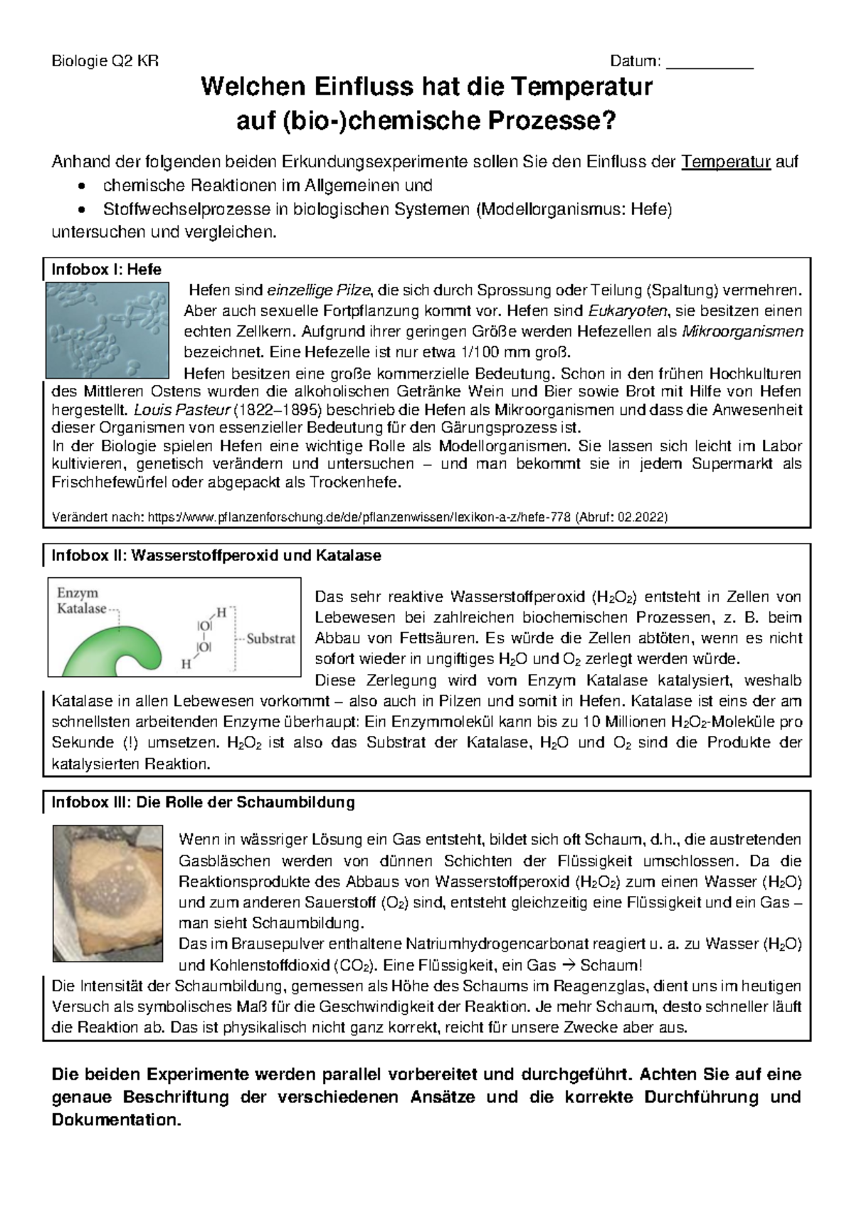 Biologie Q2 KR: Einfluss der Temperatur auf chemische Reaktionen und ...