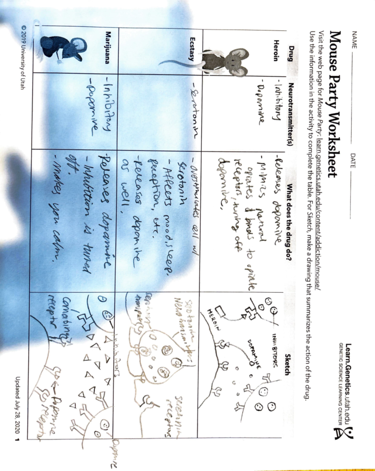 1 - homework mouse party - NAME __ _ _ DATE __ __ _ _ Mouse Party ...