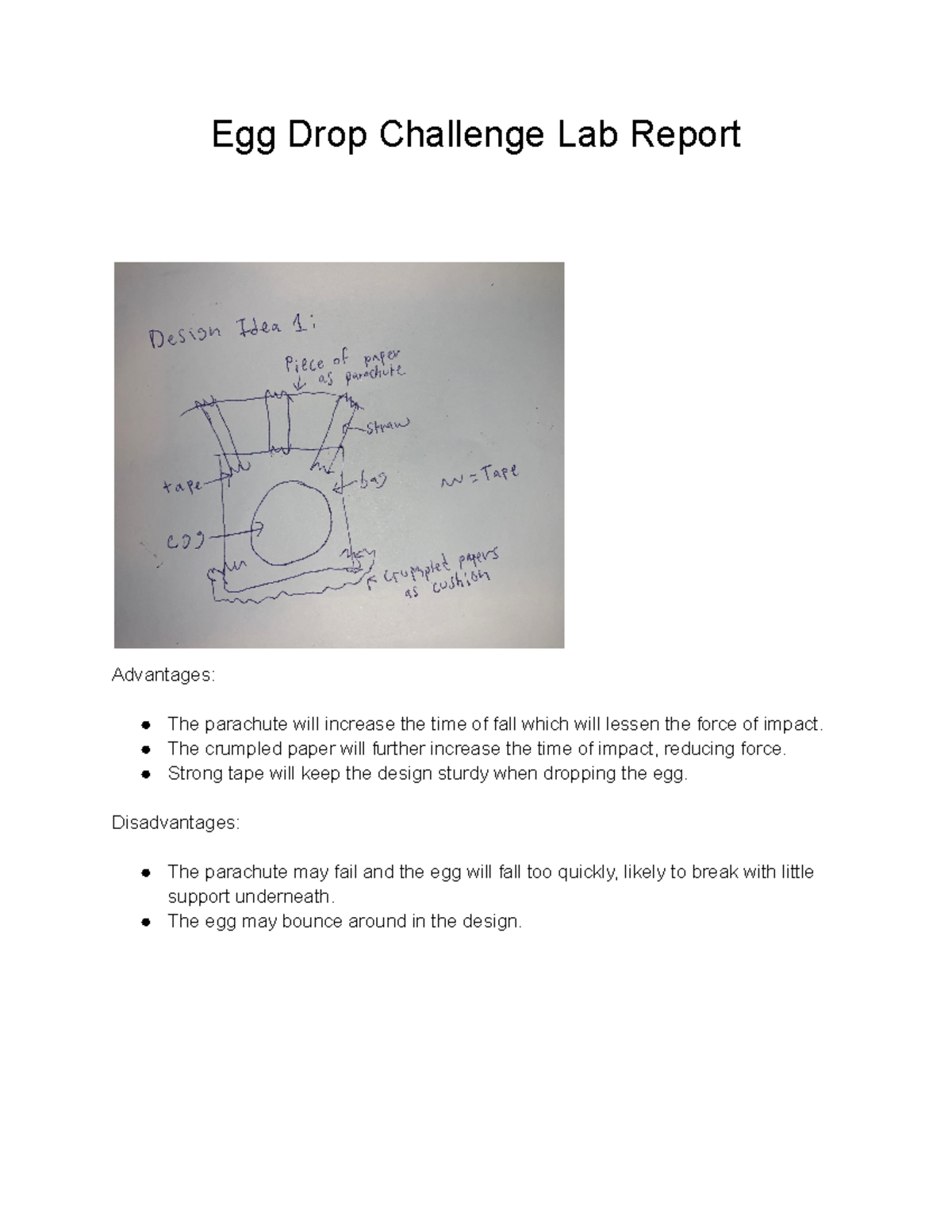 Physics 101 - Egg Drop Challenge Lab Report and Observations - Studocu