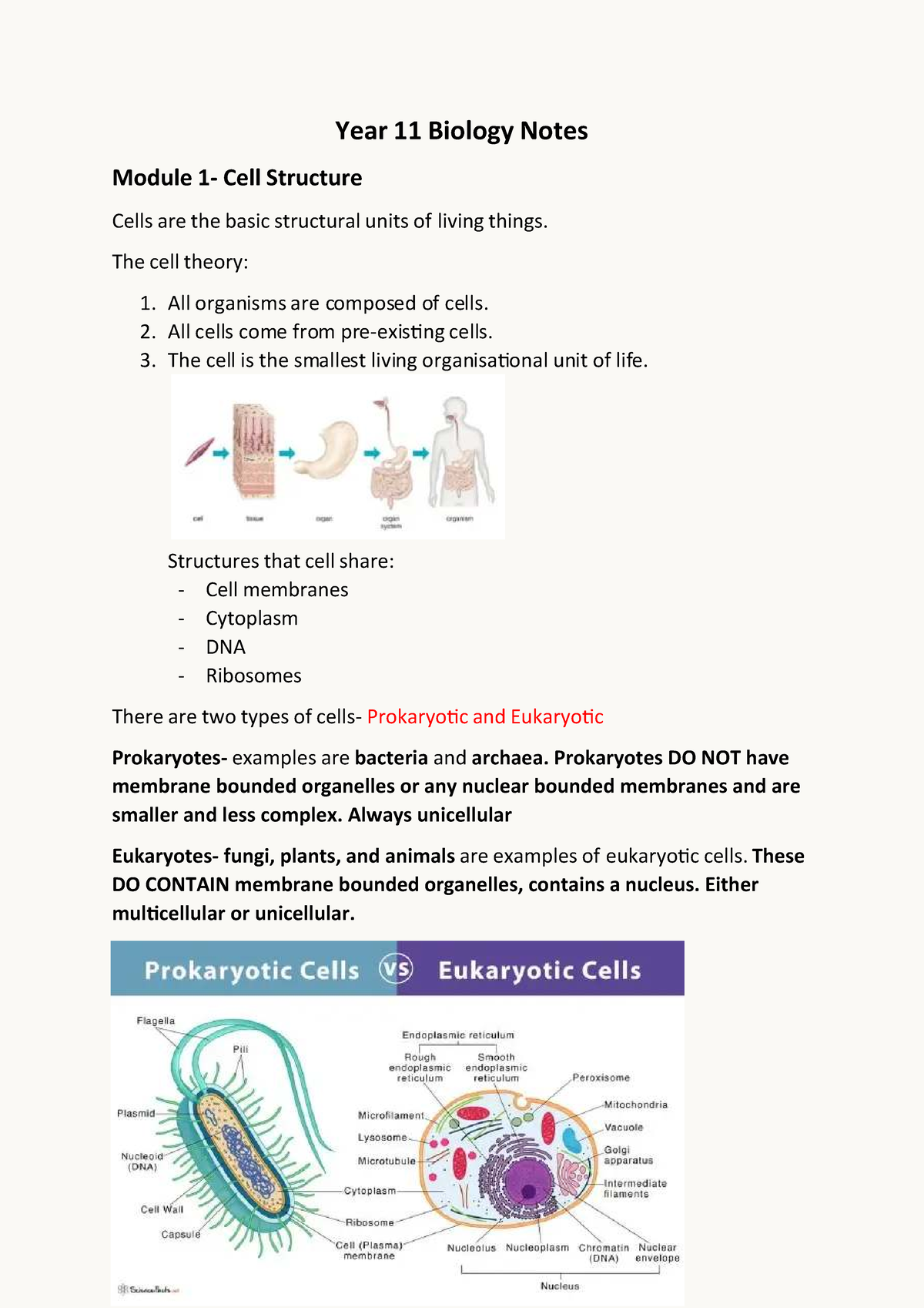 Year 11 Biology Module 1 Notes: Cell Structure and Function - Studocu