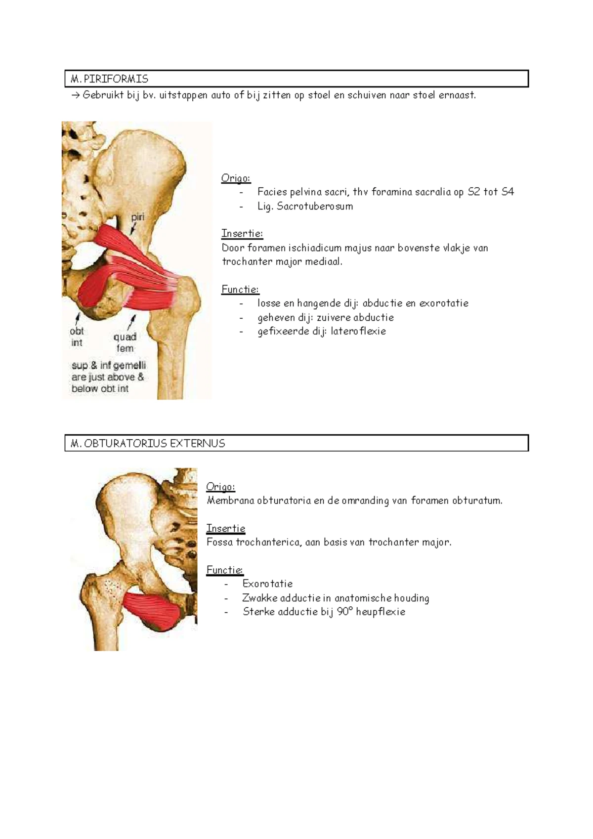 De Pols - De pols Bewegingen die mogelijk zijn in de pols Flexie en ...