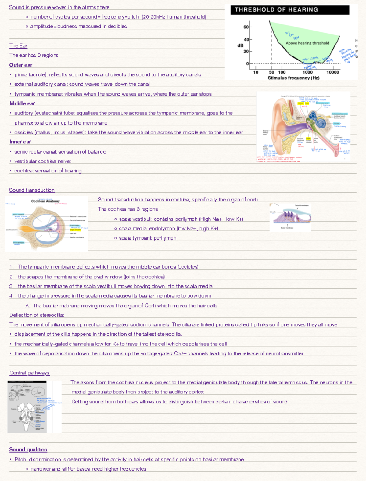 Hearing: Lecture 21 - Understanding Sound and Auditory System - Studocu