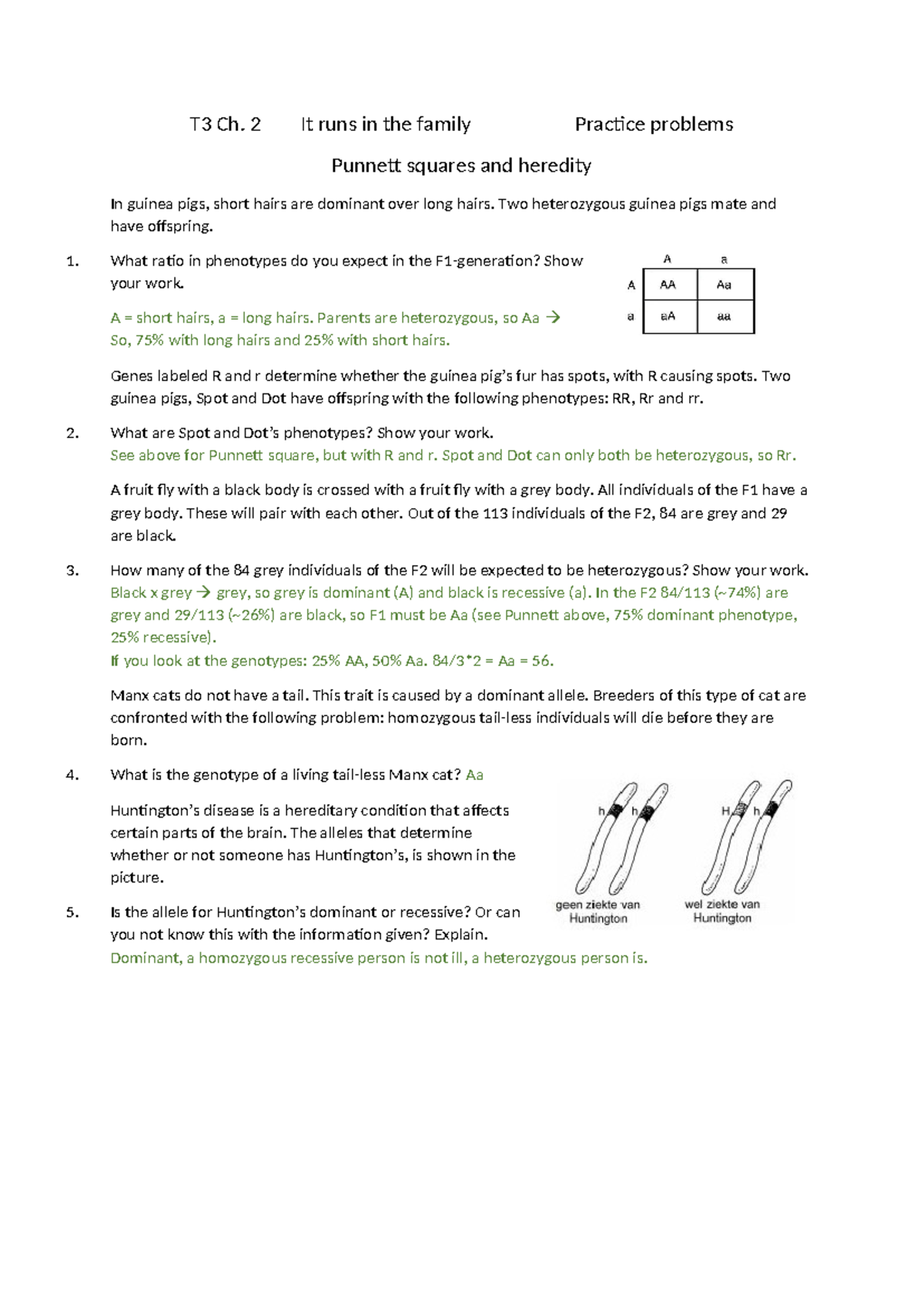 Heredity Practice Problems Answers 2021: Genetics Review Guide ...