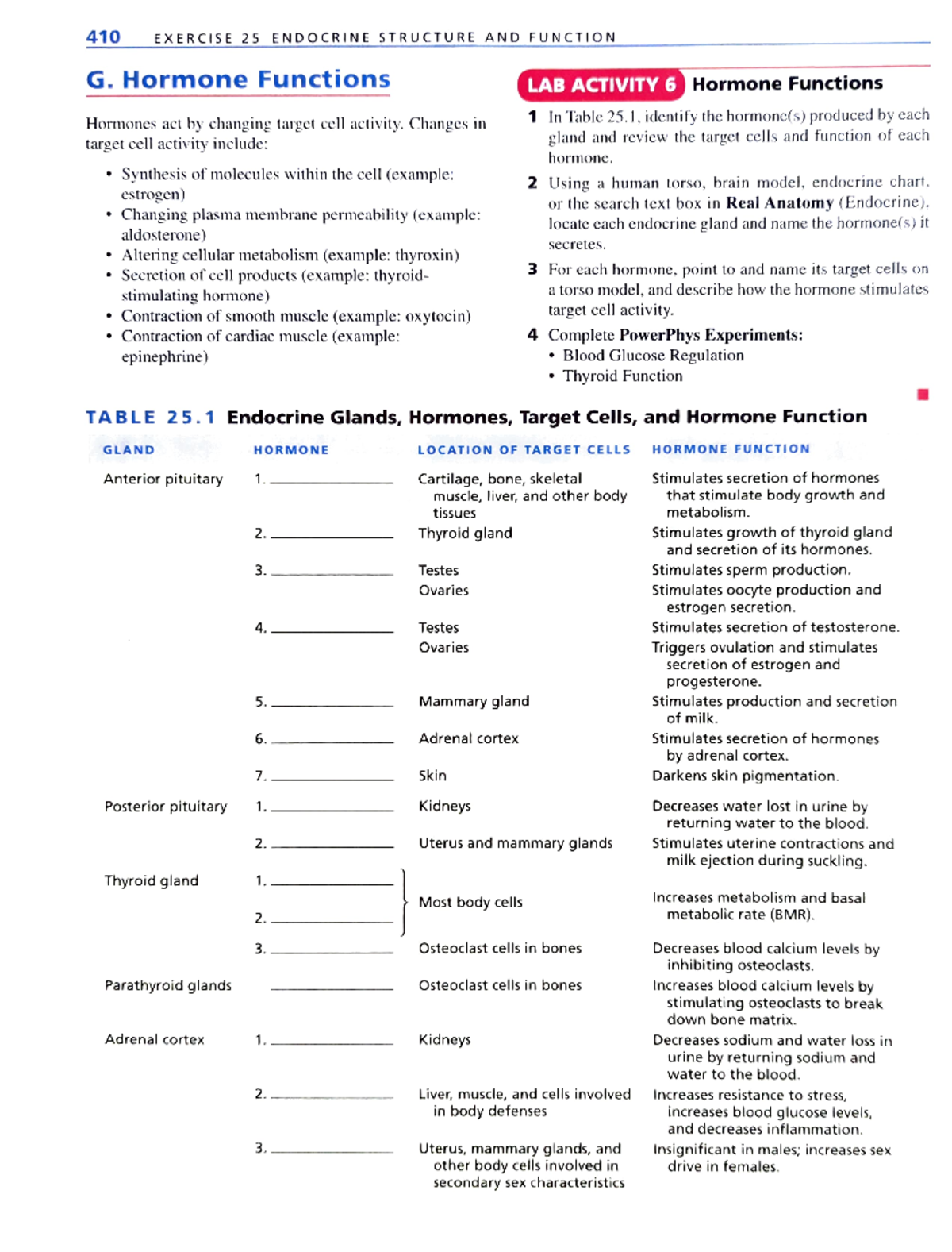 Endocrine System Functions - Dr. Paul - Study Notes - Studocu