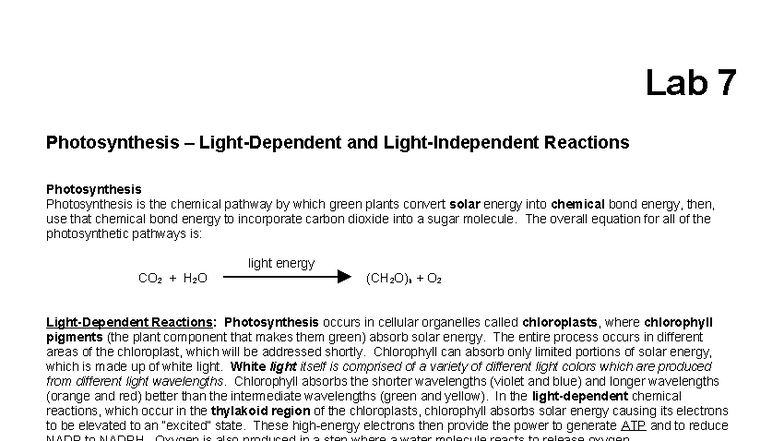 Lab 7: Light-Dependent & Light-Independent Reactions in Photosynthesis ...