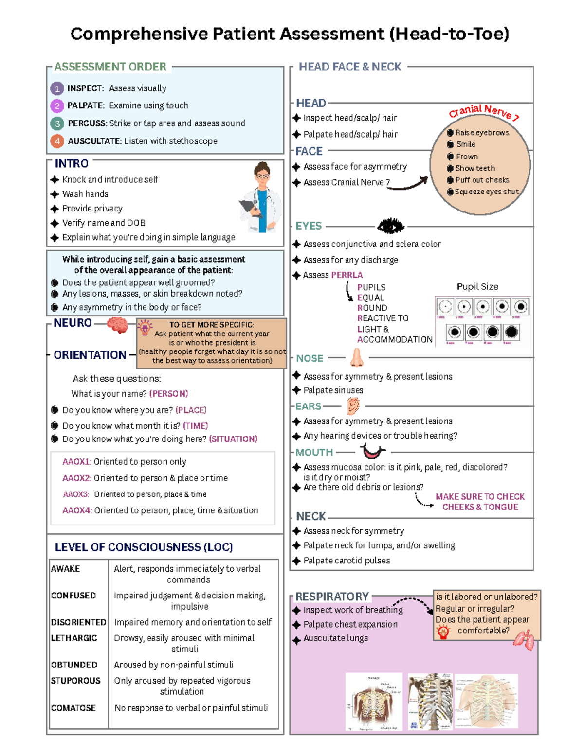 Comprehensive Patient Assessment: Head to Toe Practice Form - Studocu