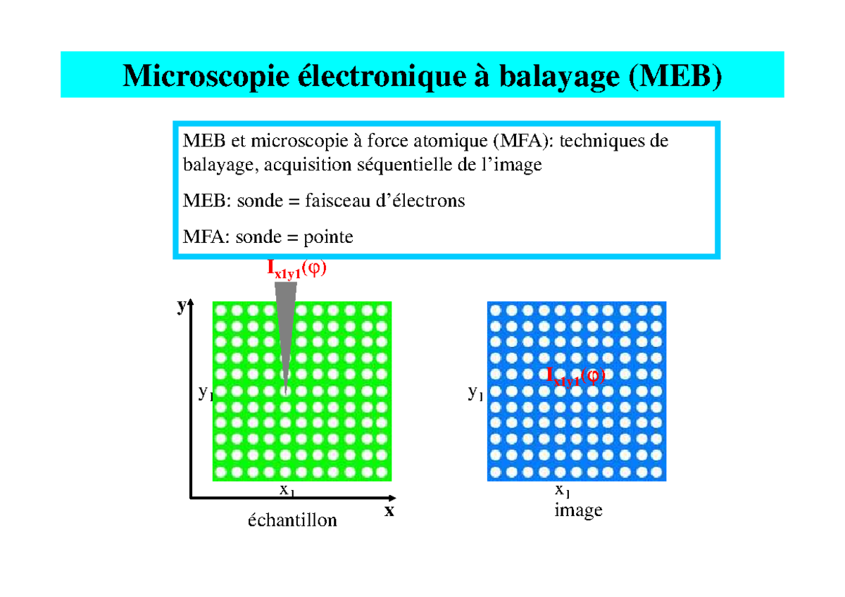 MEB - Techniques de Microscopie Électronique et Analyse Chimique - Studocu