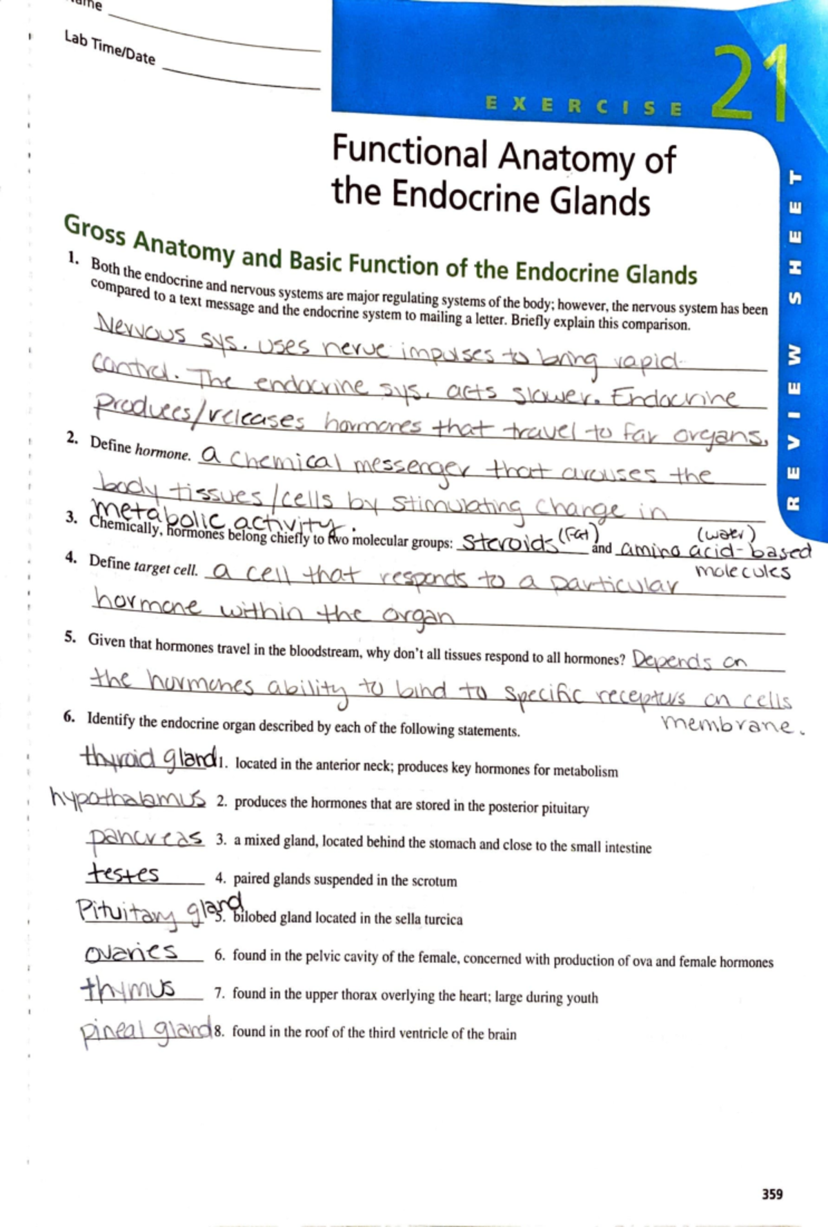 Lab ex 21 - Functional Anatomy of the endocrine glands Dr. Peltzer ...