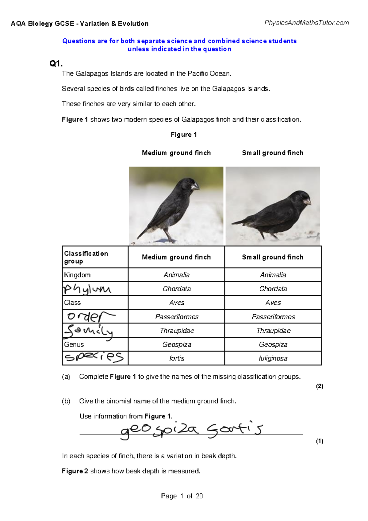 AQA Biology GCSE Variation & Evolution Question Paper (QP) - Studocu