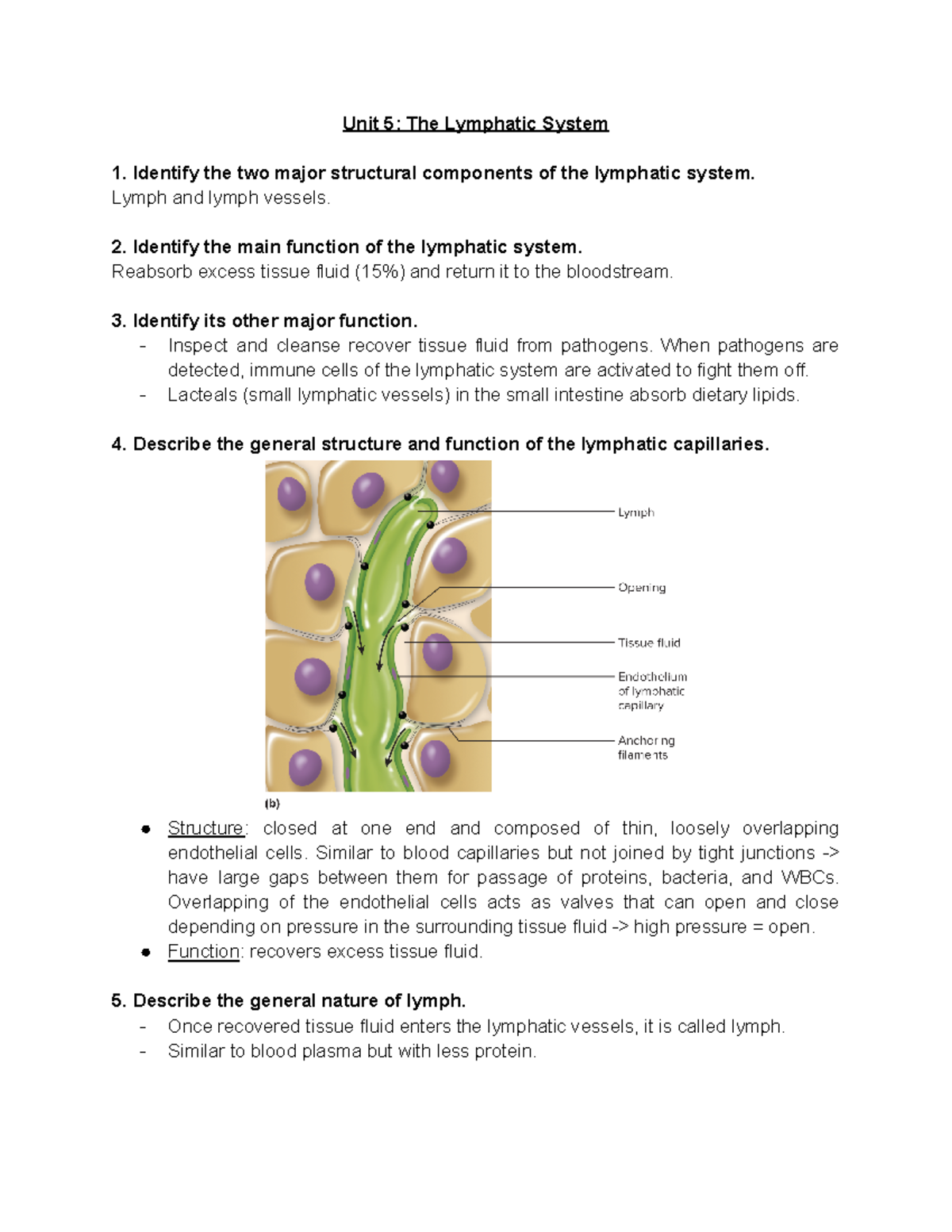 Unit 5 The Lymphatic System - Unit 5: The Lymphatic System Identify the ...
