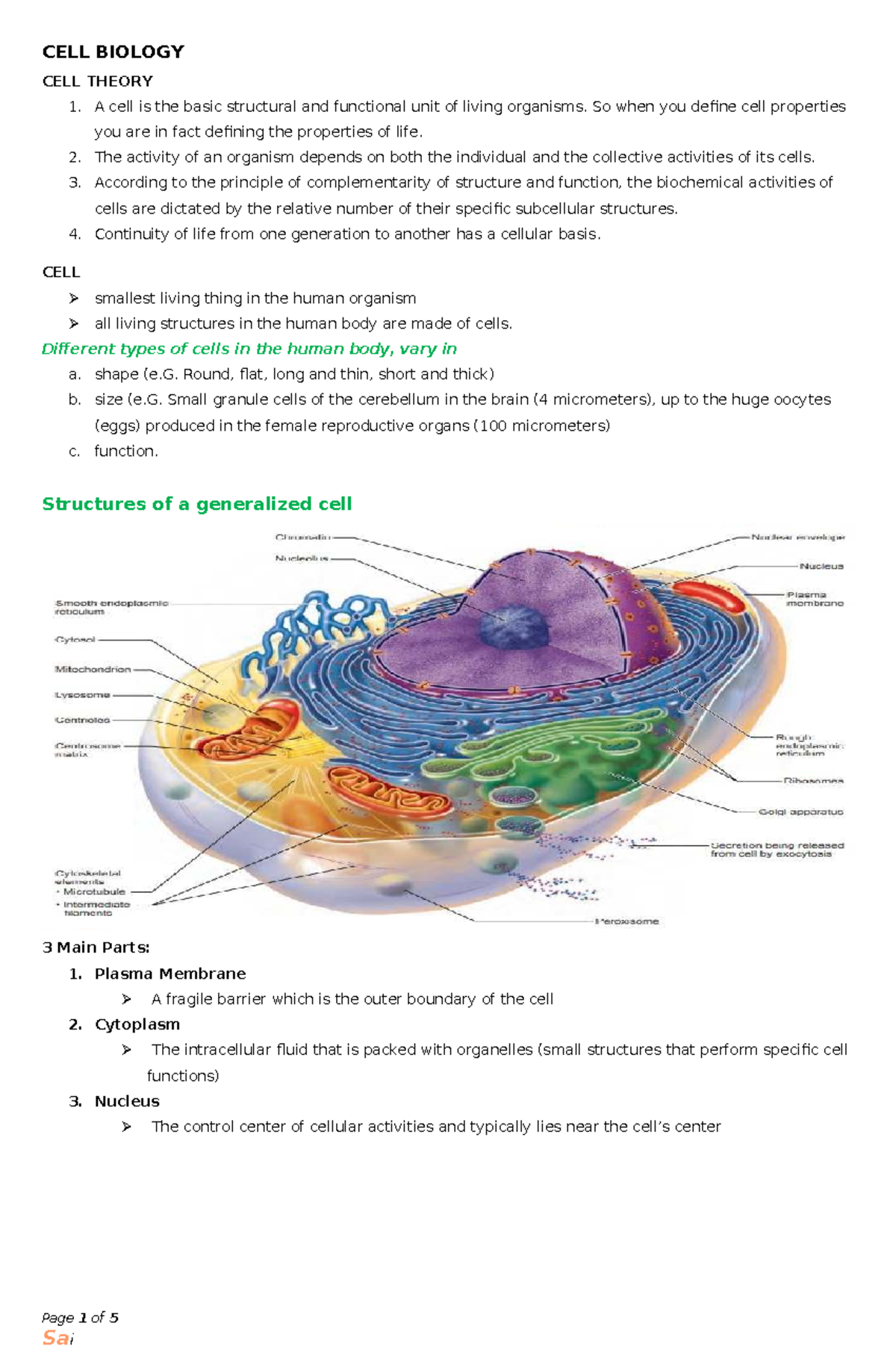 CELL BIOLOGY: Understanding Cell Structure and Function - Studocu