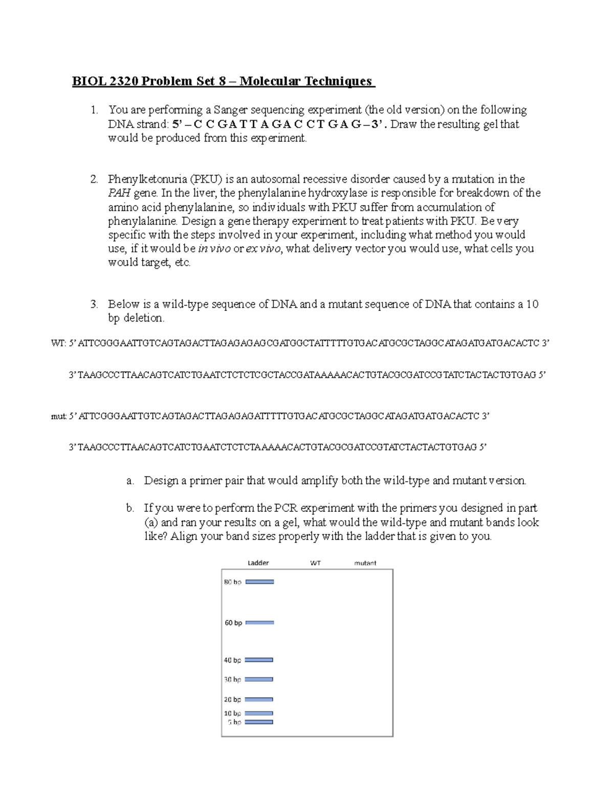 Problem Set 8 - Molecular Techniques - BIOL 2320 Problem Set 8 ...