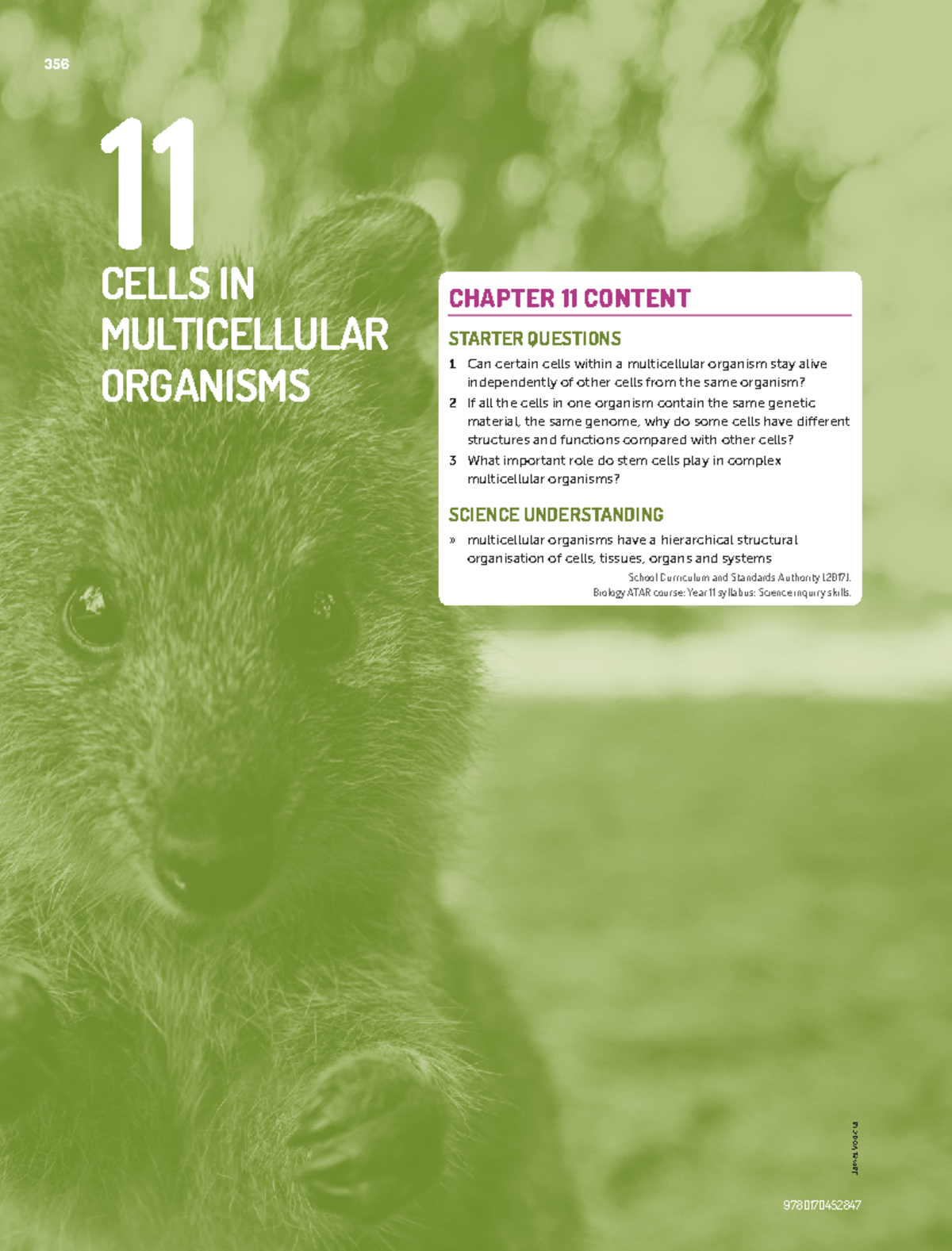 Biology ATAR Year 11: Cells in Multicellular Organisms - Studocu