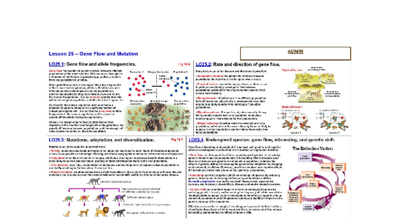 ABC123 Final Exam Study Guide: Gene Flow, Mutation & Evolution - Studocu
