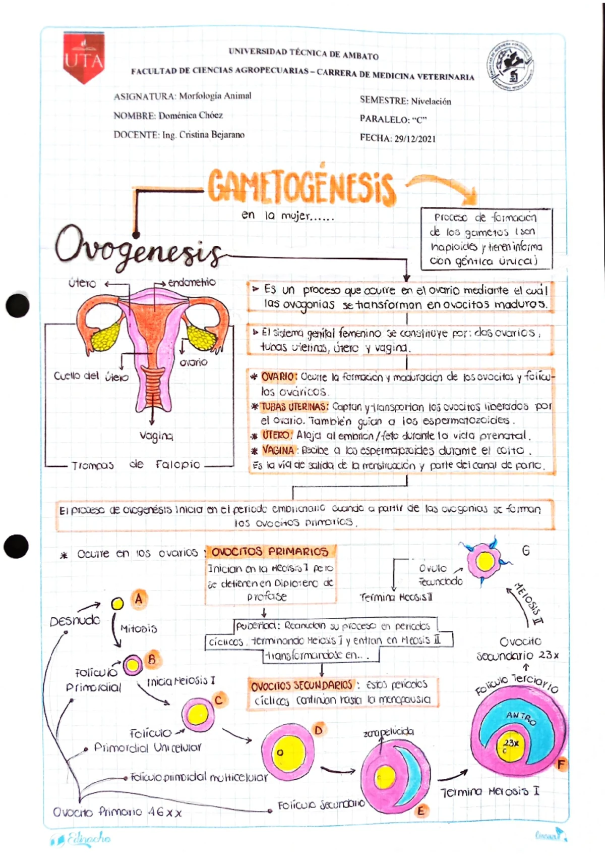 FIGO-Miso-Dosing Chart 2023: Induced Abortion Guidelines - Studocu