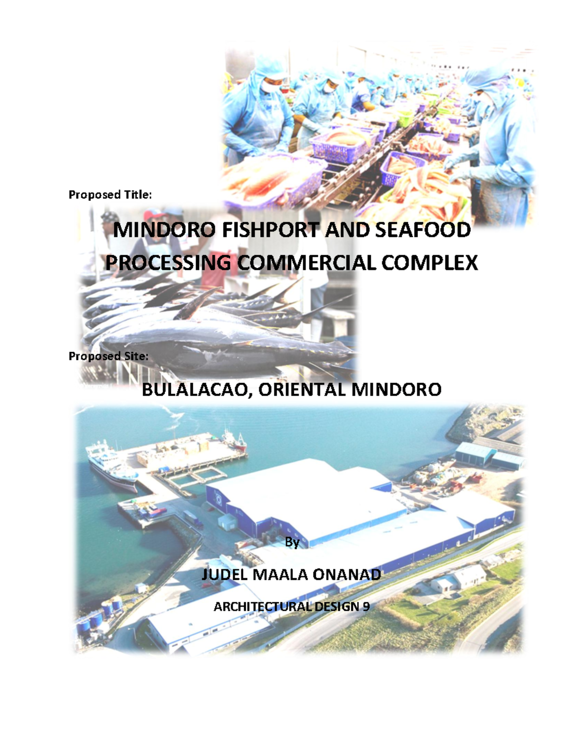 Mindoro FISHPORT & Seafood Processing: Thesis by Judel Maala Onanad ...