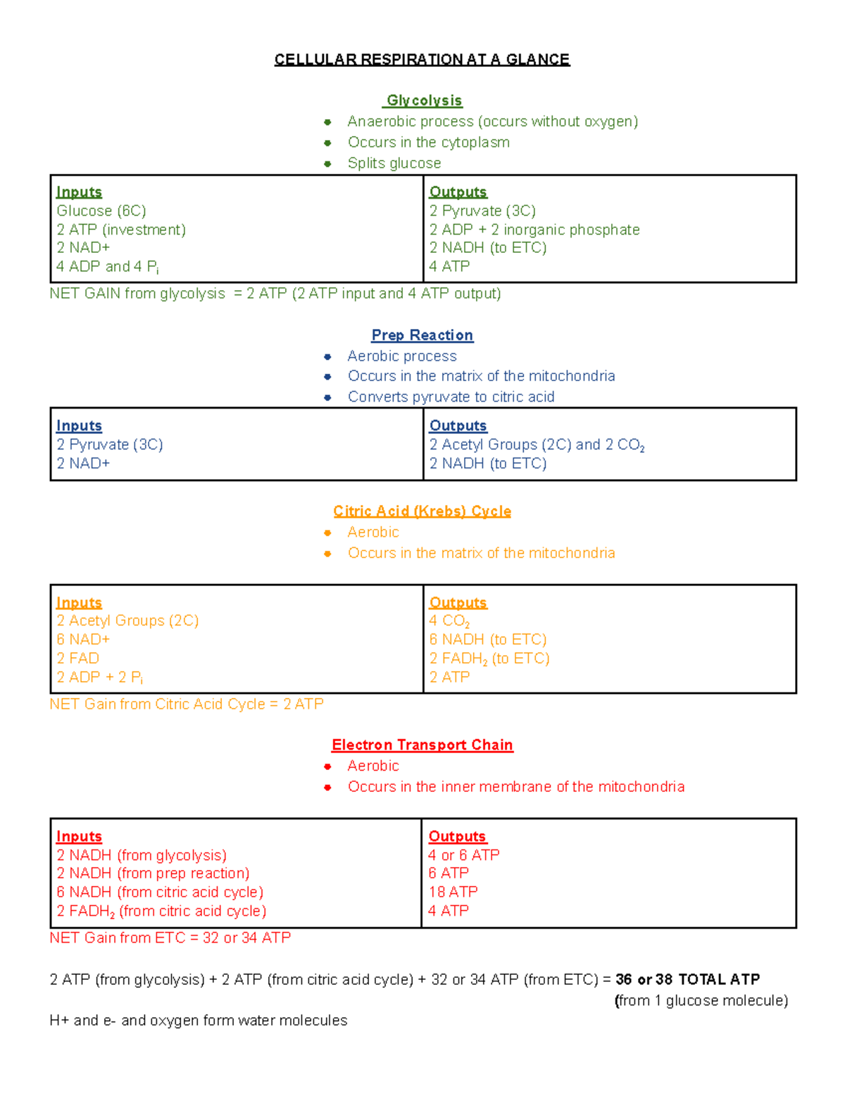 CELLULAR RESPIRATION AT A GLANCE: Inputs & Outputs Overview - Studocu